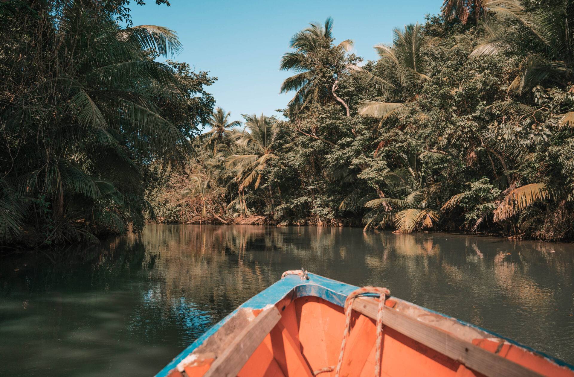 Que faire en Dominique, l’île préservée des Caraïbes ? - Blog Voyage ...